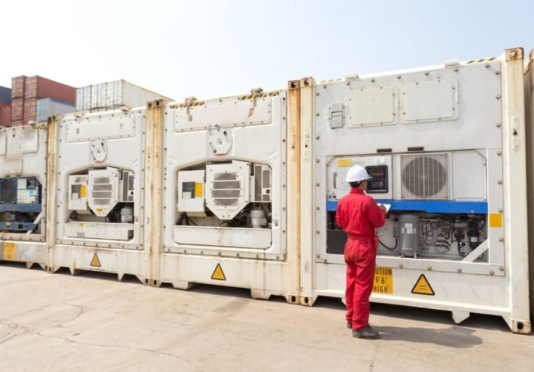 Reefer container là gì? Lưu ý sử dụng mà bạn cần biết