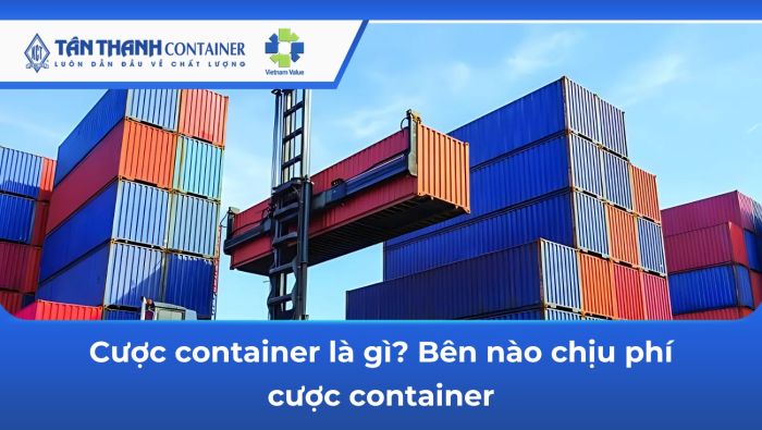 What is container demurrage? Who bears the container demurrage fee?
