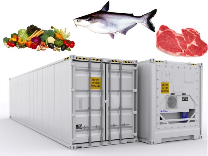 Experience in transporting and preserving food by Refrigerated containers